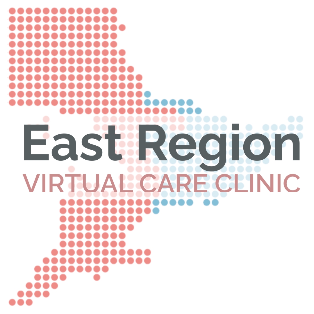 Virtual Care Clinic - Appointment Booking and Access to Patient Home ...